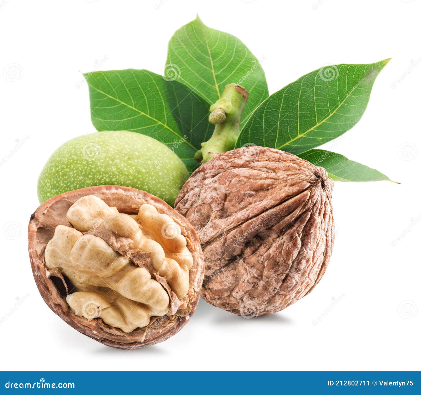 Nozes E Nozes Com Casca Verde Com Folhas Isoladas Sobre Fundo Branco ...