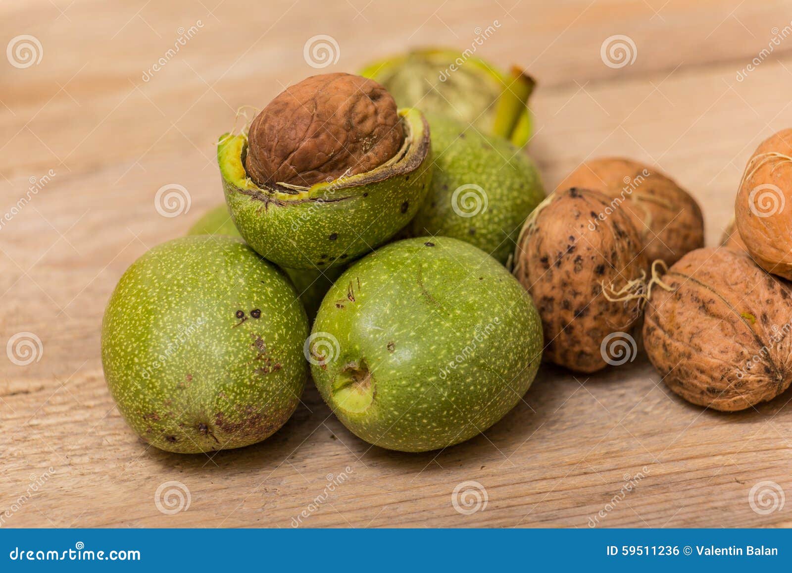 Nozes verdes foto de stock. Imagem de comer, verde, porcas - 59511236