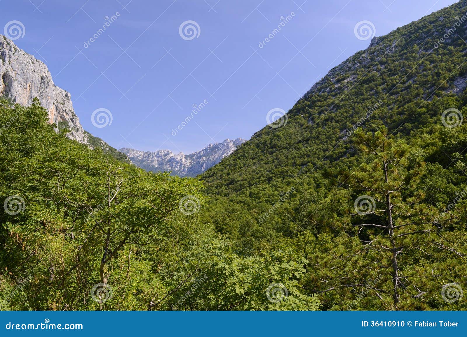 NP Paklenica 库存照片. 图片 包括有 石头, 克罗地亚, 国家, 地质, 旅行, 森林, 横向 - 36410910