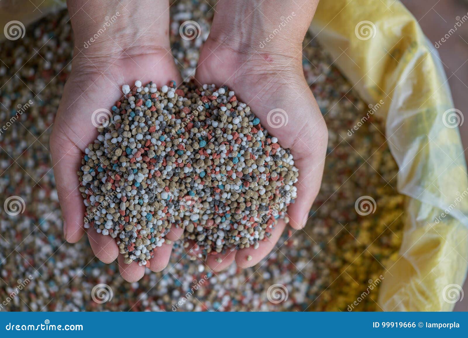 Npk fertilizer stock photo. Image of nutrients, magnesium - 99919666