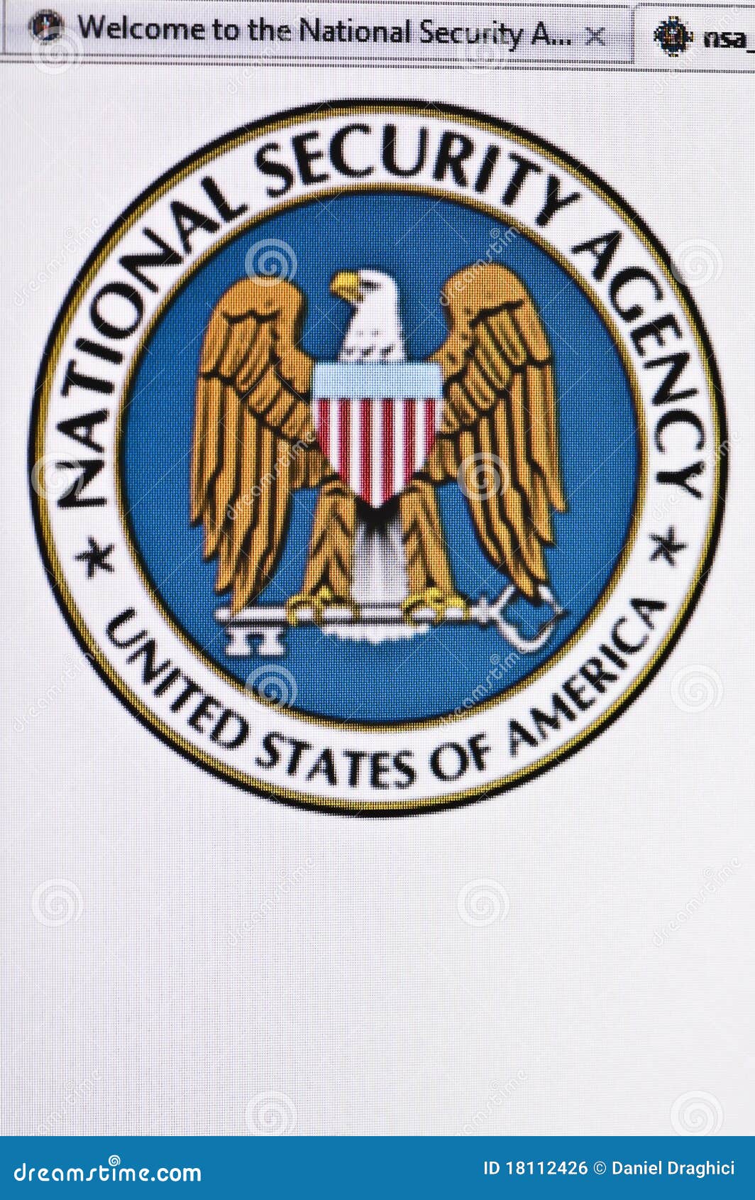 Nsa editorial photo. Image of america, internet, eagle - 18112426