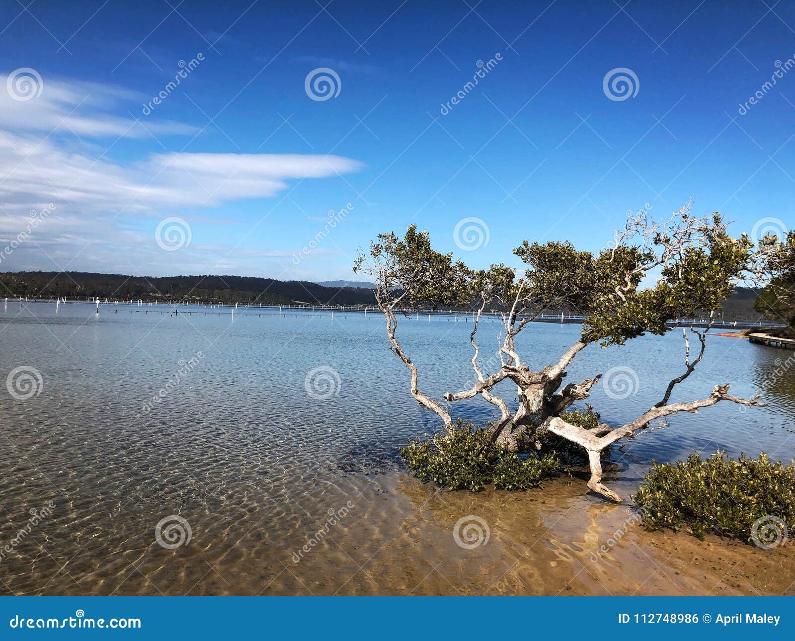 Nsw Australia de Merimbula foto de archivo. Imagen de lago - 112748986