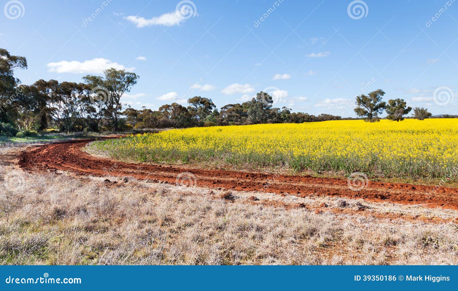 NSW outback near Cowra stock photo. Image of bright, grass - 39350186