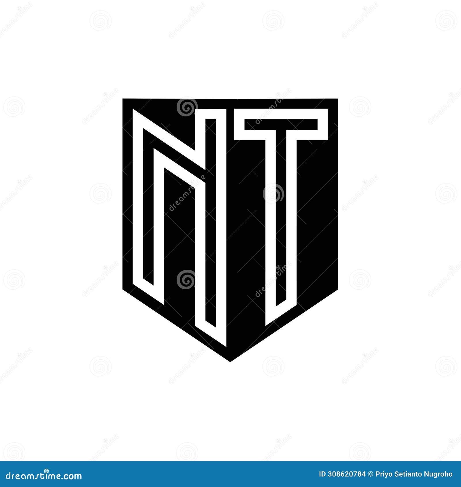 NT Logo Monogram Shield Geometric White Line Inside Black Shield Color Design Stock Vector ...