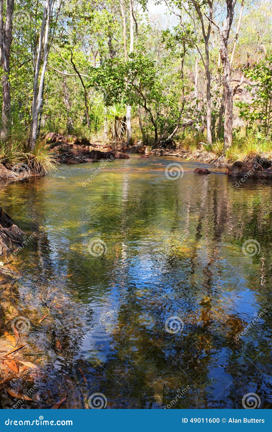 NT water 5 stock photo. Image of creek, stream, water - 49011600