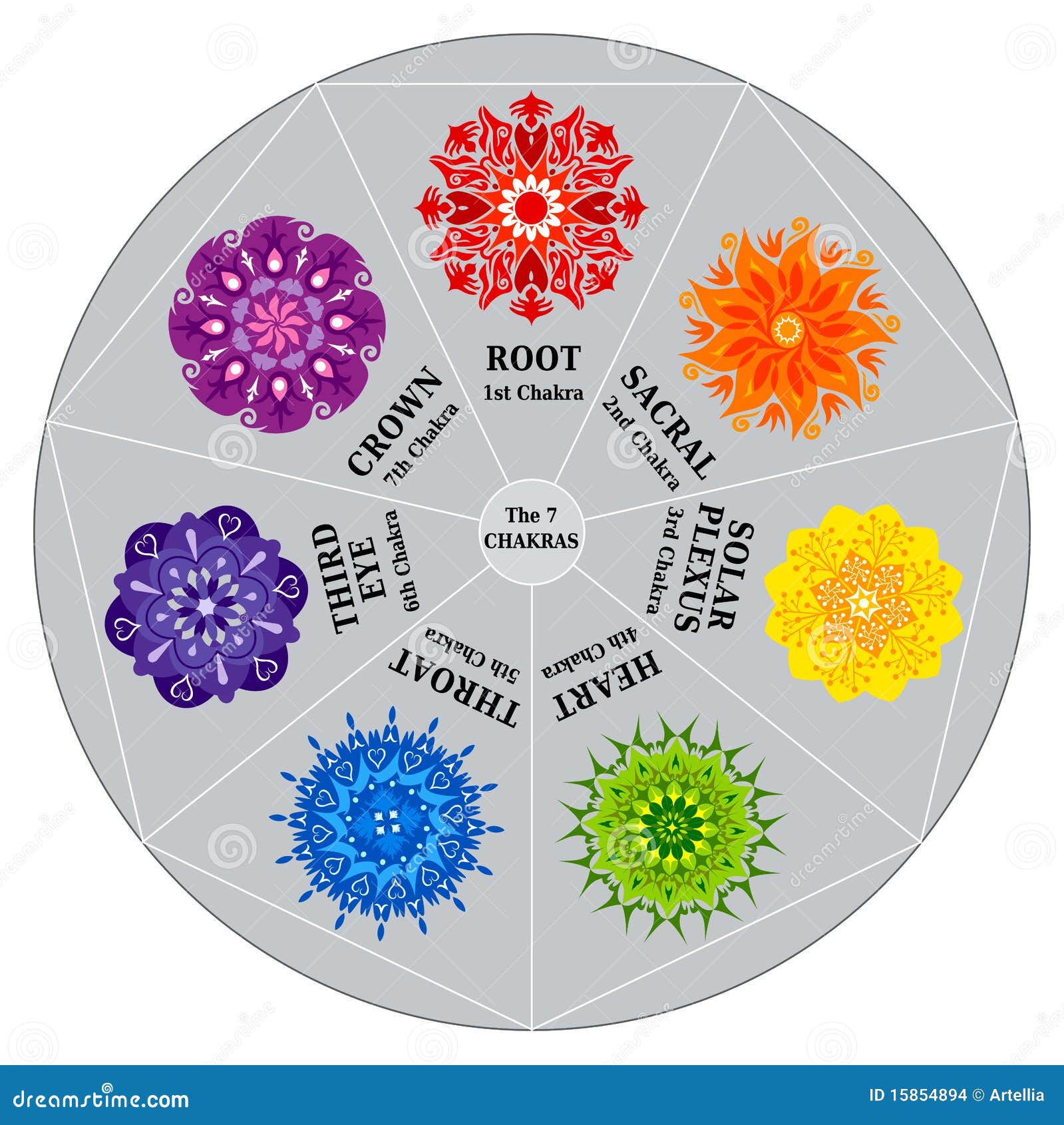 Nuancier De 7 Chakras Avec Des Mandalas Illustration de Vecteur ...