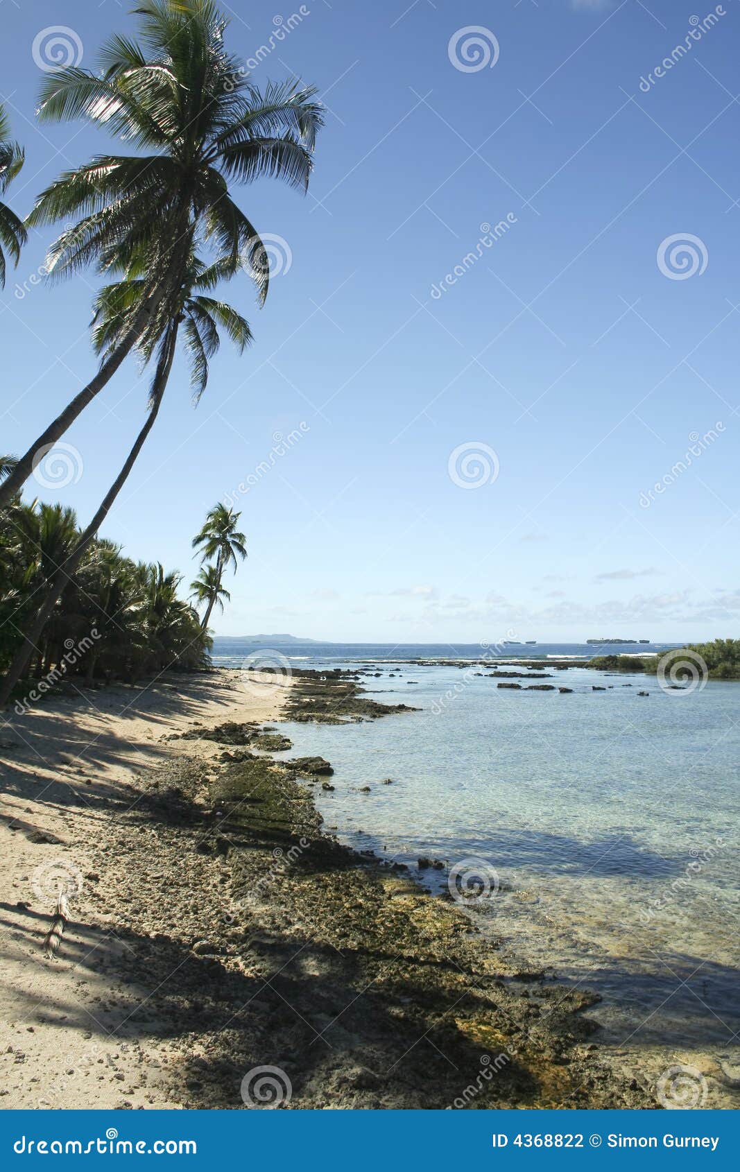 Nube 9 foto de archivo. Imagen de nueve, palma, espacio - 4368822
