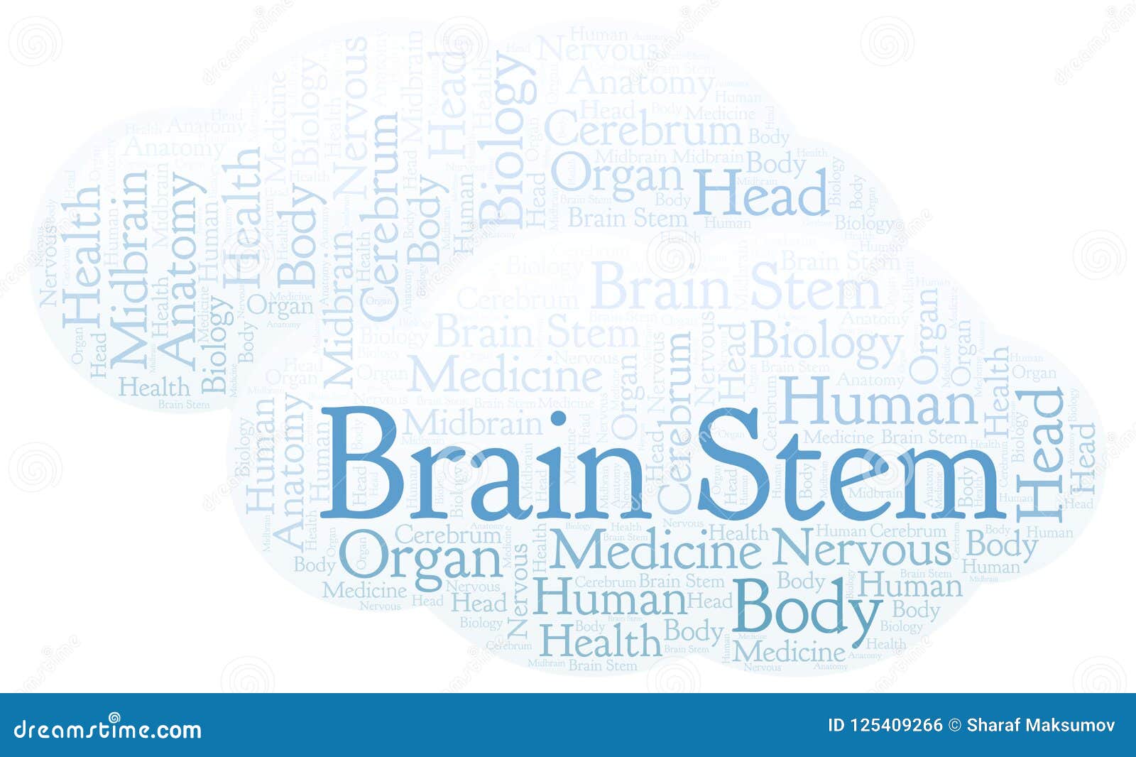 Nube De La Palabra De Brain Stem Stock de ilustración - Ilustración de ...