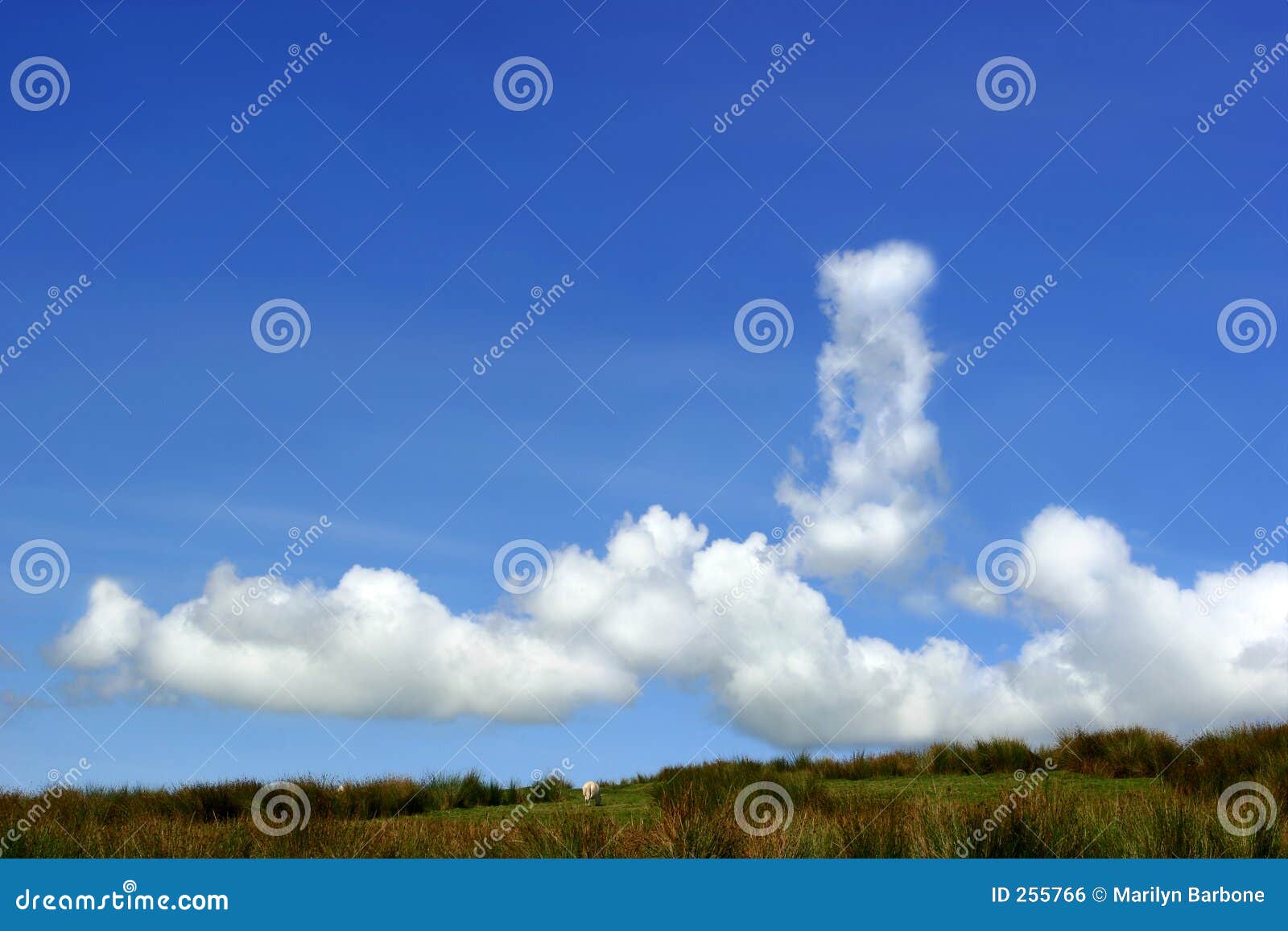 Nubes Bajas Y Horizonte De Lámina Foto de archivo - Imagen de hierba ...