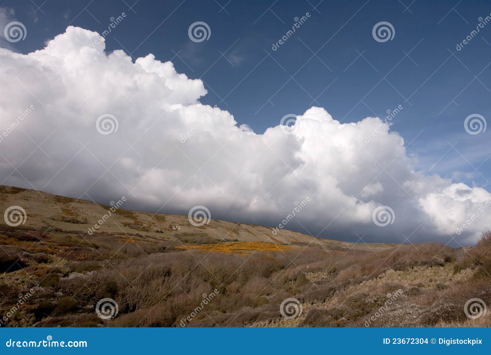 Nubes De Cumulo Nimbo, Costa De Dorset, Inglaterra Foto de archivo ...