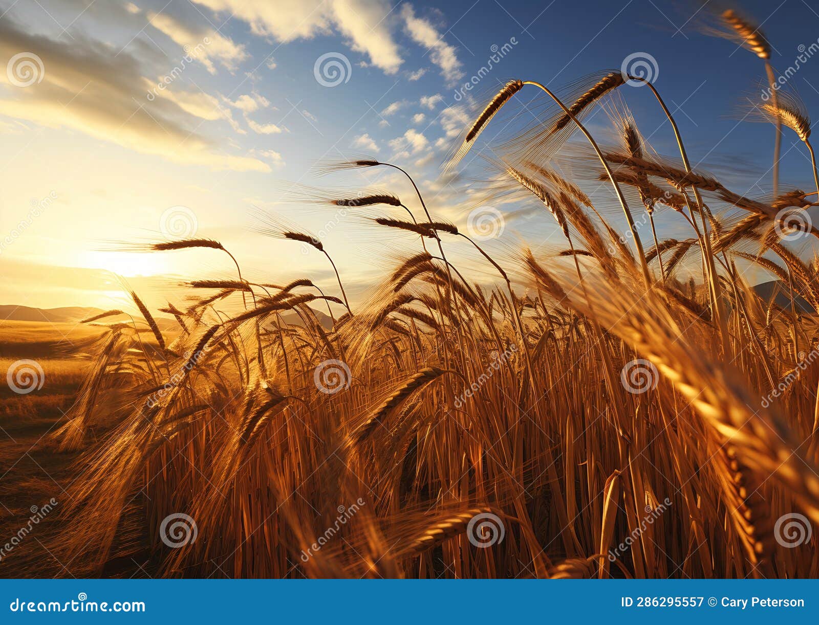 Worthlessness Cartoons, Illustrations & Vector Stock Images - 97 ...