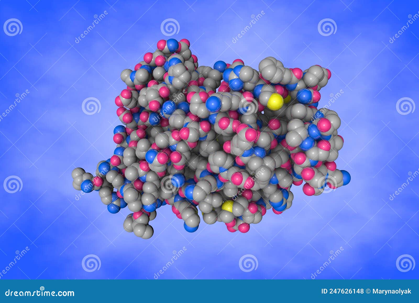 Nuclear Receptor For Vitamin D Complexed To Vitamin D. Space-filling ...