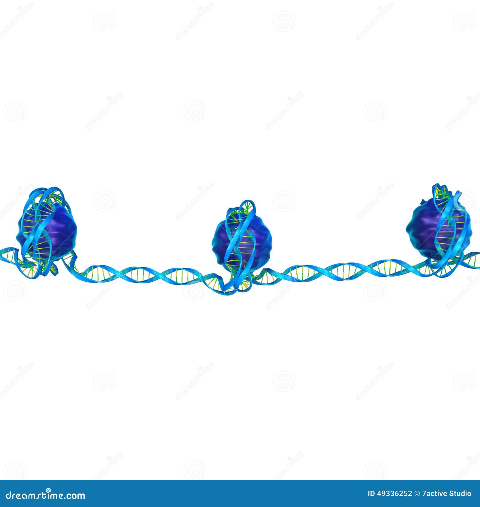 Nucleosome stock illustration. Illustration of gene, chromosome - 49336252 Nucleosome stock illustration. Illustration of gene, chromosome - 49336252