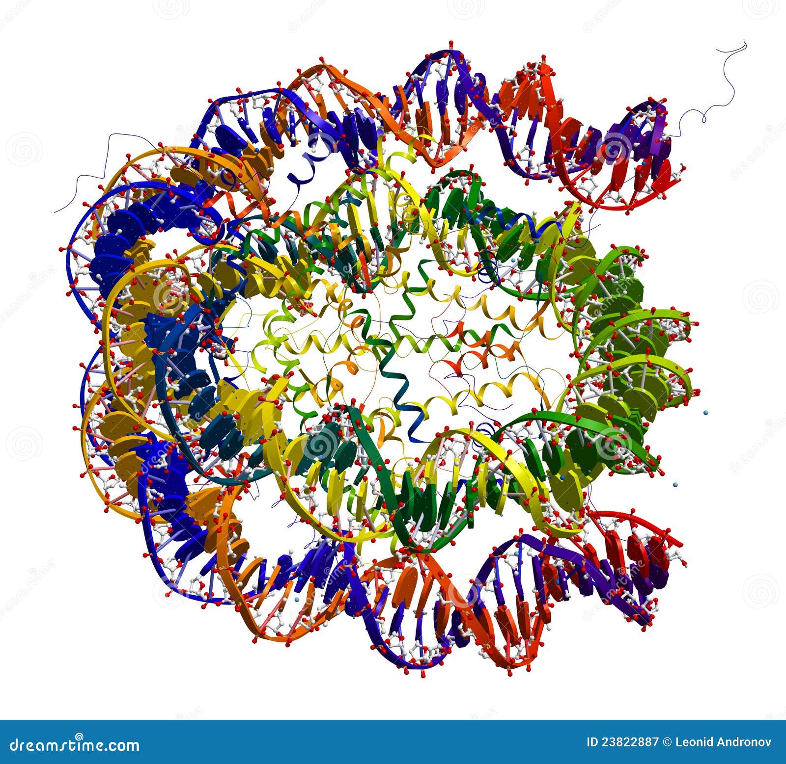 Nucleosome Core Particle Structure Stock Illustration - Illustration of ...