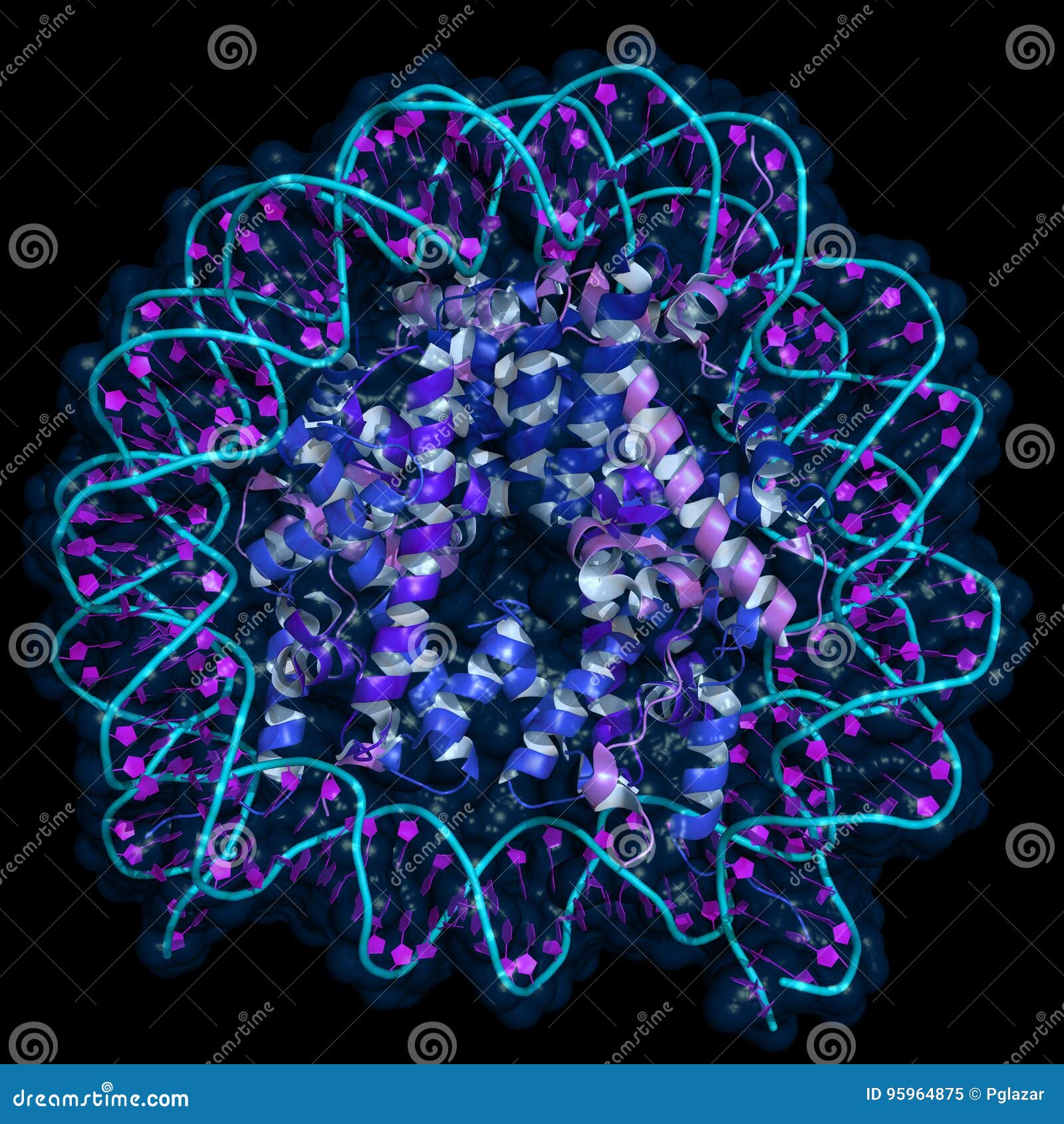 Nucleosome model stock illustration. Illustration of histone - 95964875