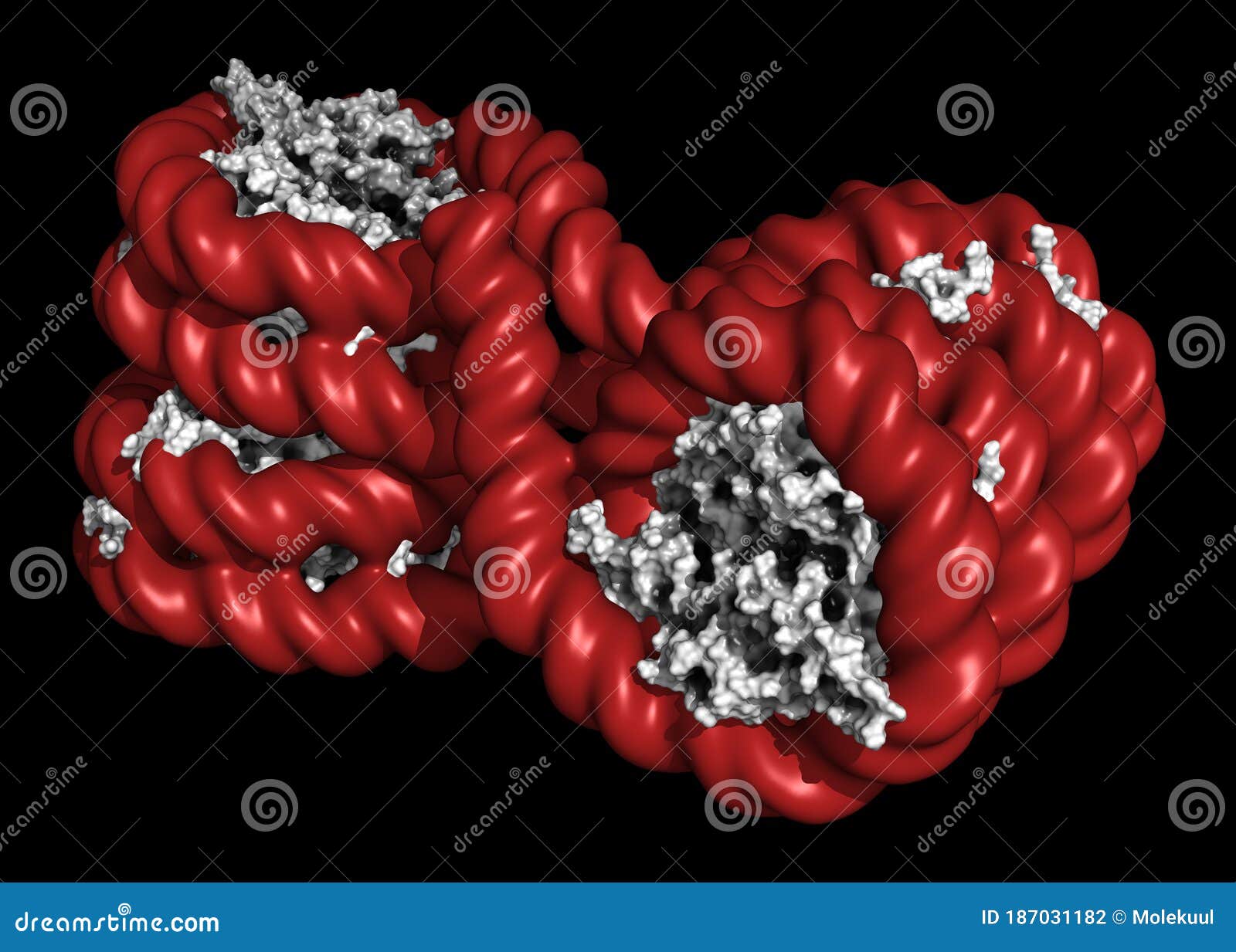 Nucleosome Structure. Structure of an Oligonucleosome, Showing the ...