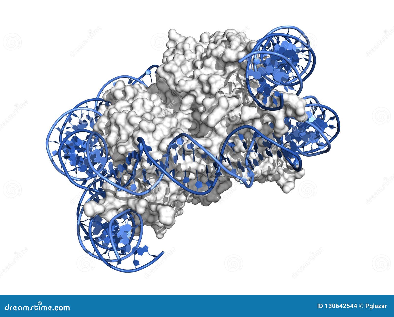 Epigenome Stock Illustrations – 14 Epigenome Stock Illustrations ...