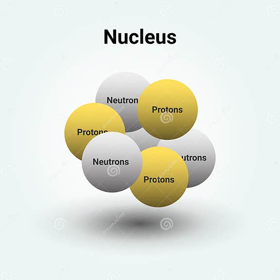 The Nucleus of an Atom Showing Protons and Neutrons Stock Vector ...
