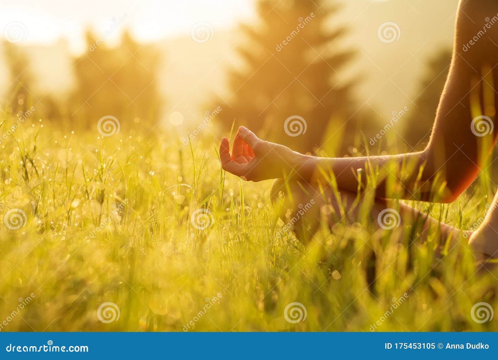 Nude Woman Practices Yoga In Nature Stock Image Image Of Adult