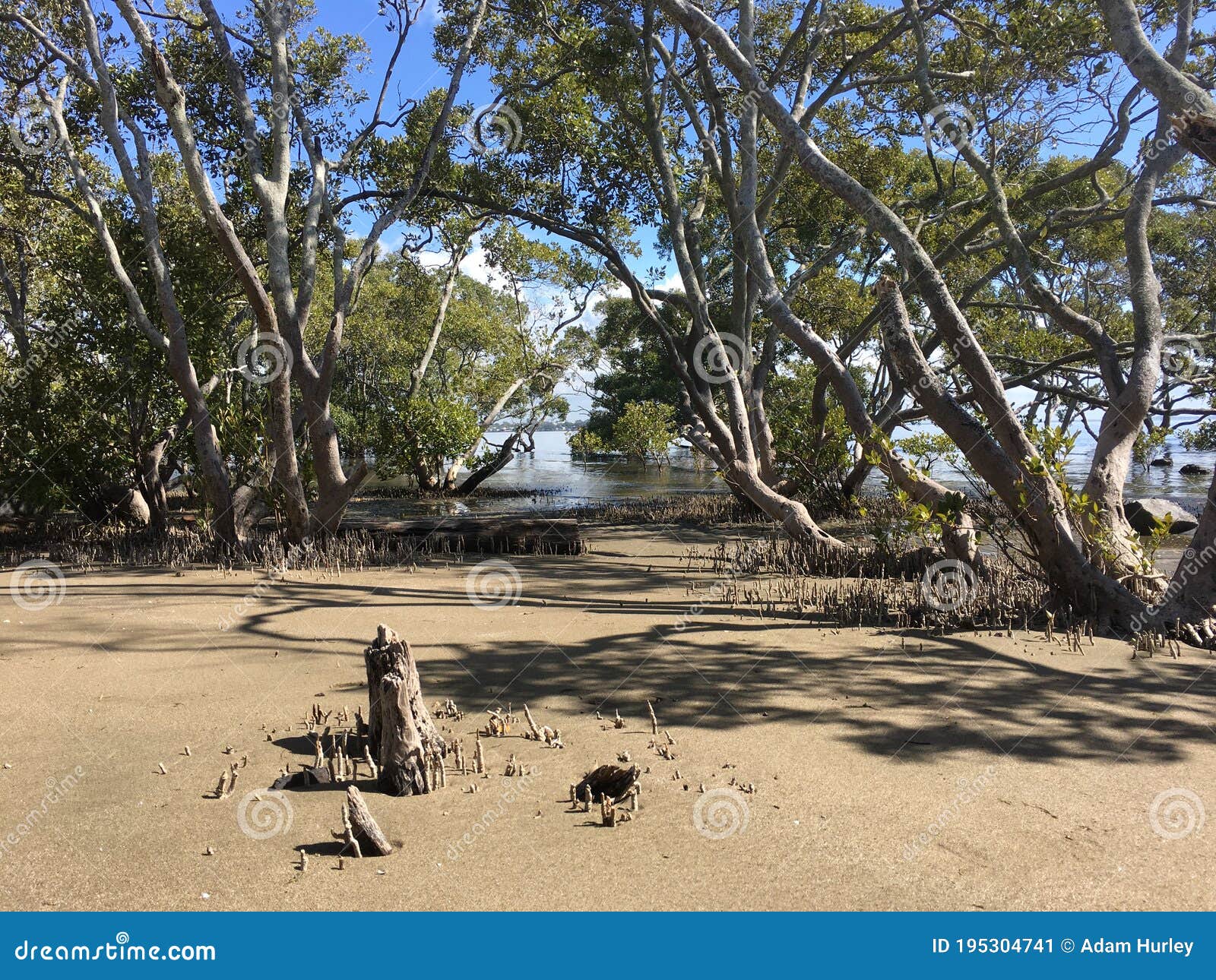 Nudgee Beach stock image. Image of sunshine, nature - 195304741