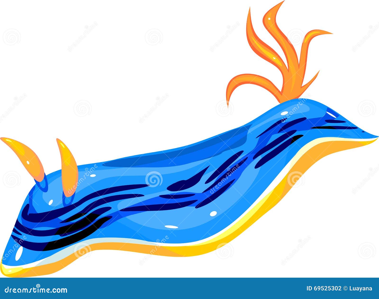 Nudibranchia Cartoons, Illustrations & Vector Stock Images - 29 ...