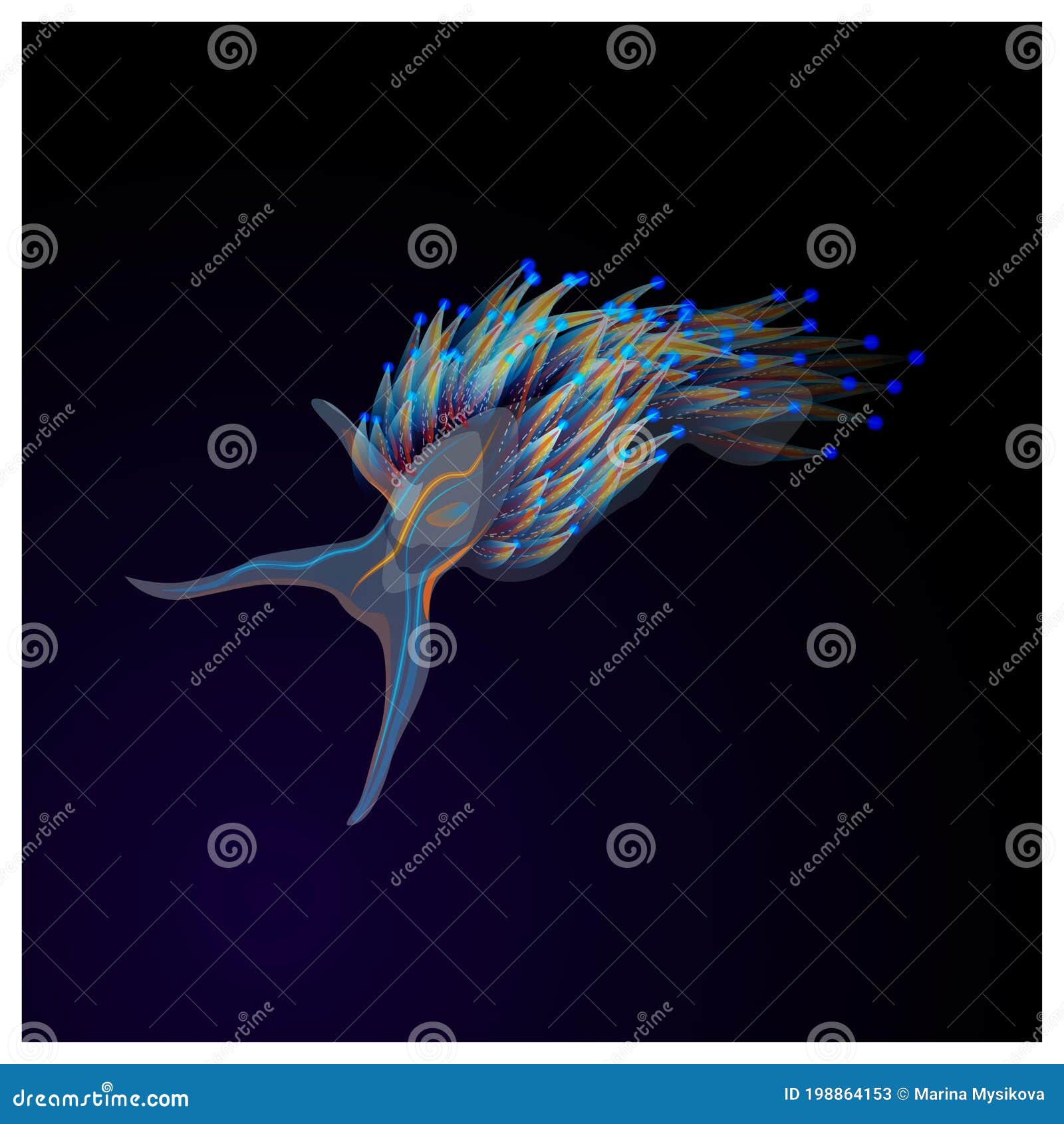 Nudibranch Cartoon Vector | CartoonDealer.com #69526199