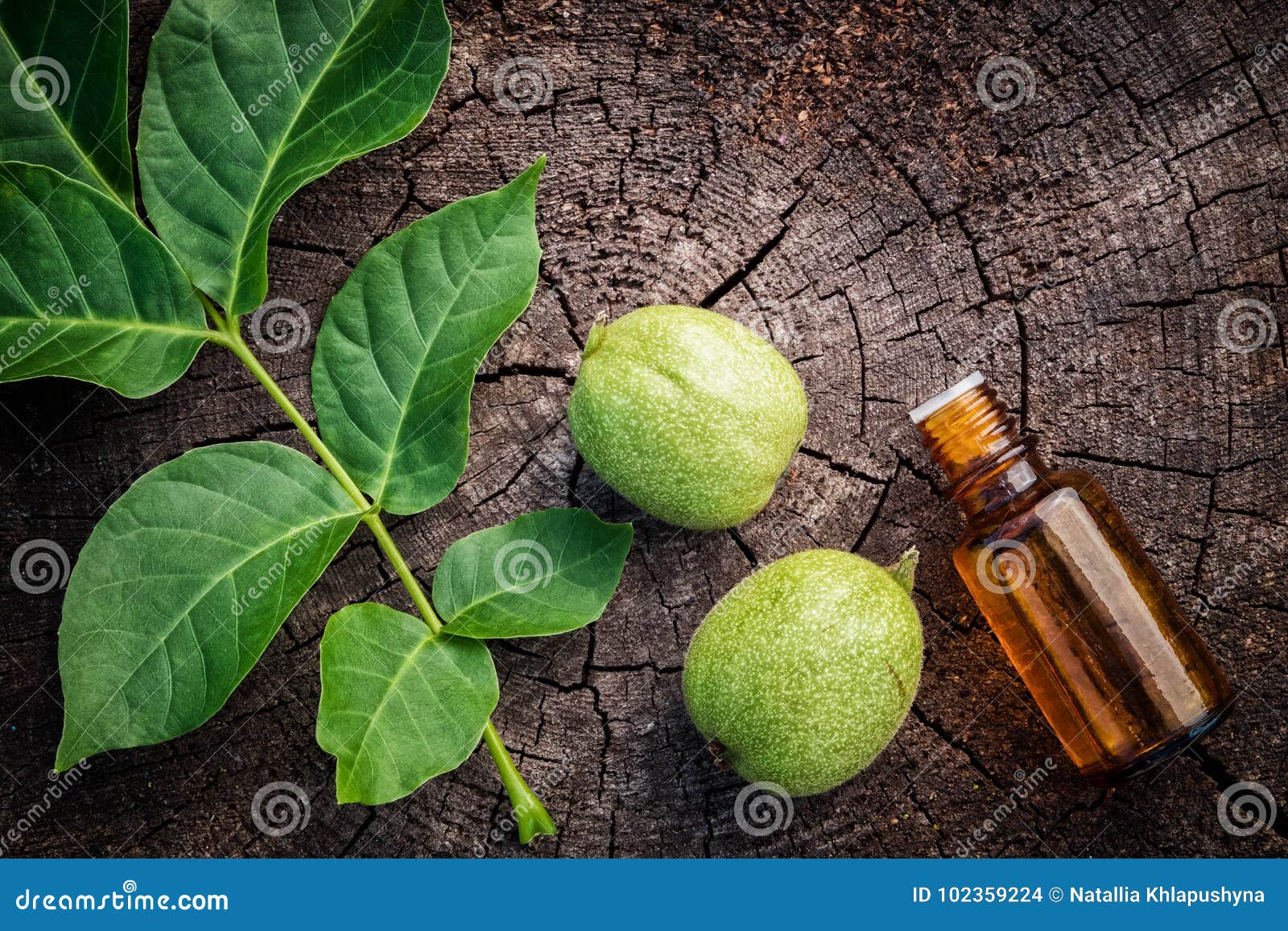 Nueces, Botella De Tinte Del Juglans Regia Foto de archivo - Imagen de ...
