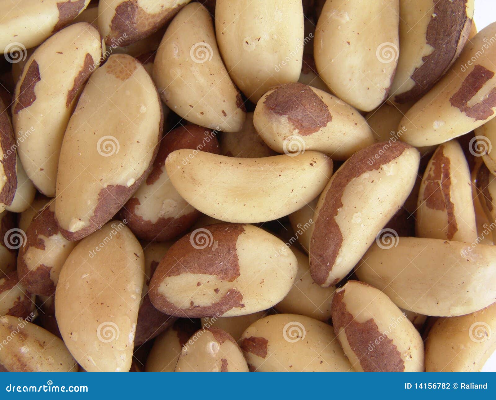 Nueces de Brasil foto de archivo. Imagen de plantas, dieta - 14156782