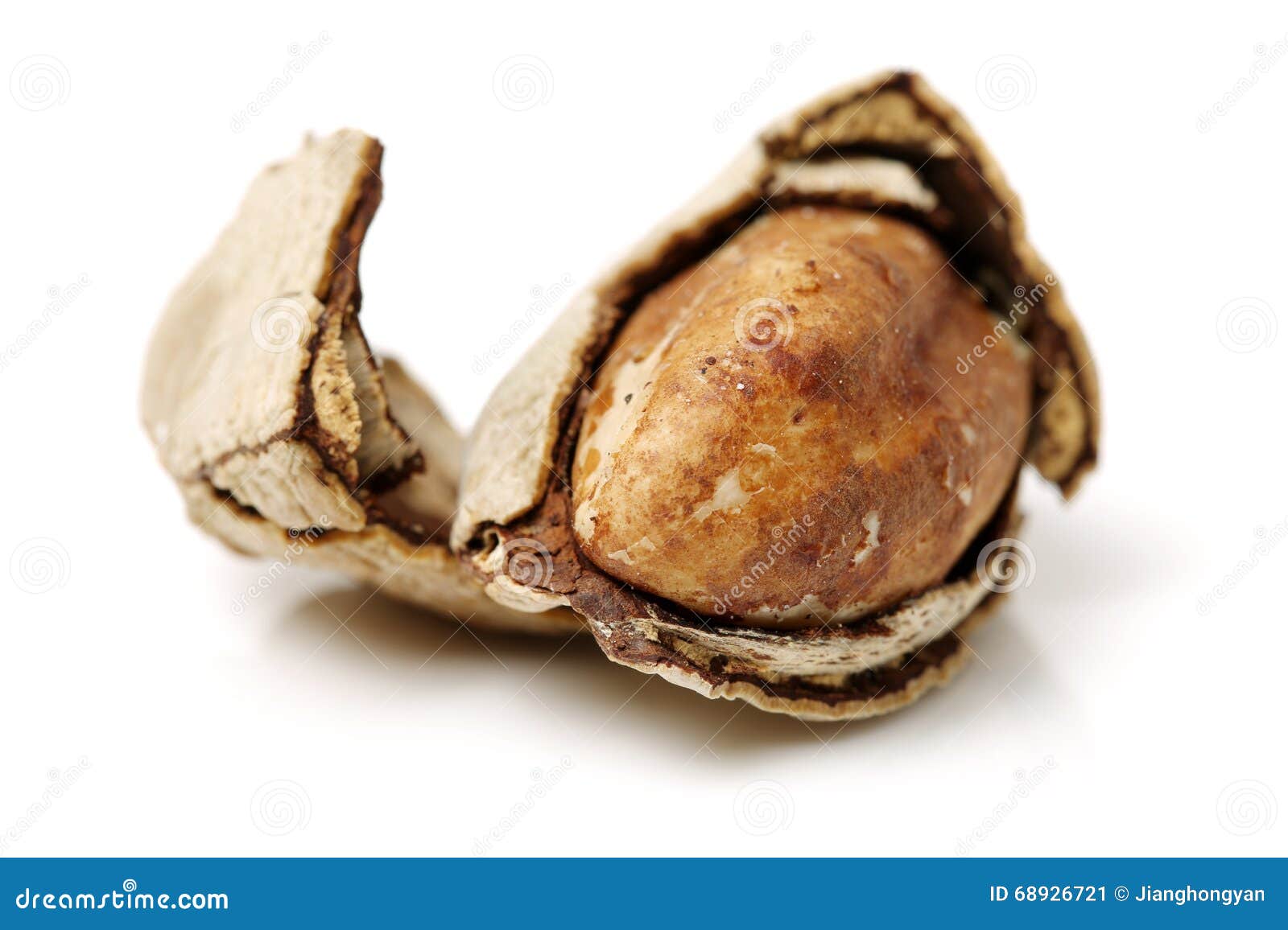 Nueces De Brasil En Cáscara De Nuez Imagen de archivo - Imagen de ...