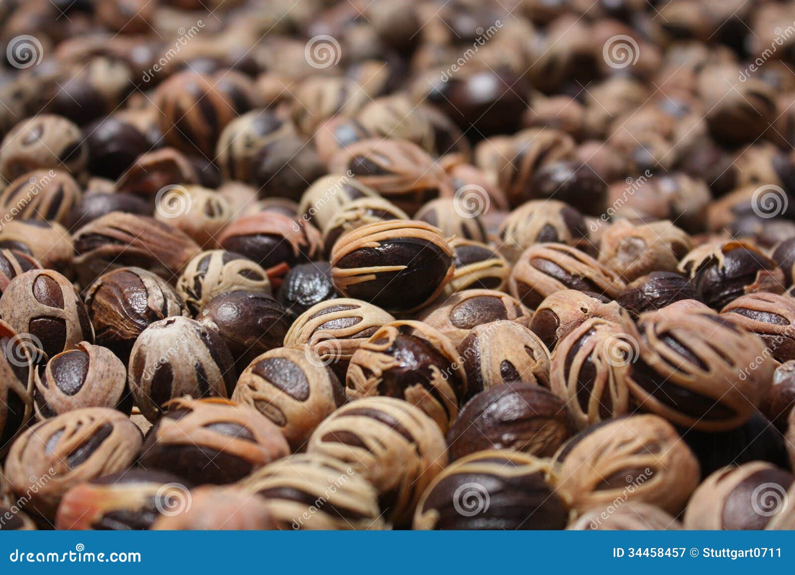 Nueces de Muscat imagen de archivo. Imagen de handmade - 34458457