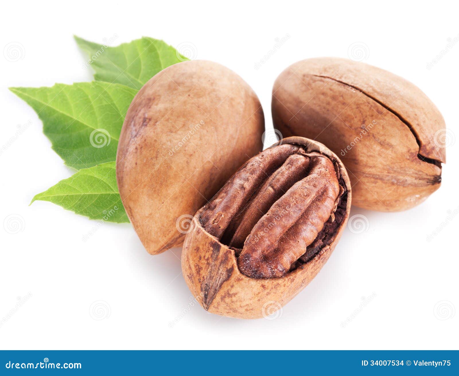 Nueces De Pacana Con Las Hojas. Foto de archivo - Imagen de abierto ...