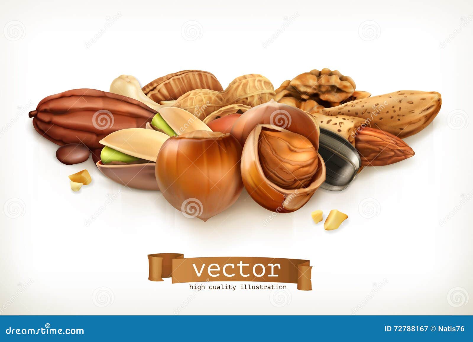 Nueces, ejemplo del vector ilustración del vector. Ilustración de cacao ...
