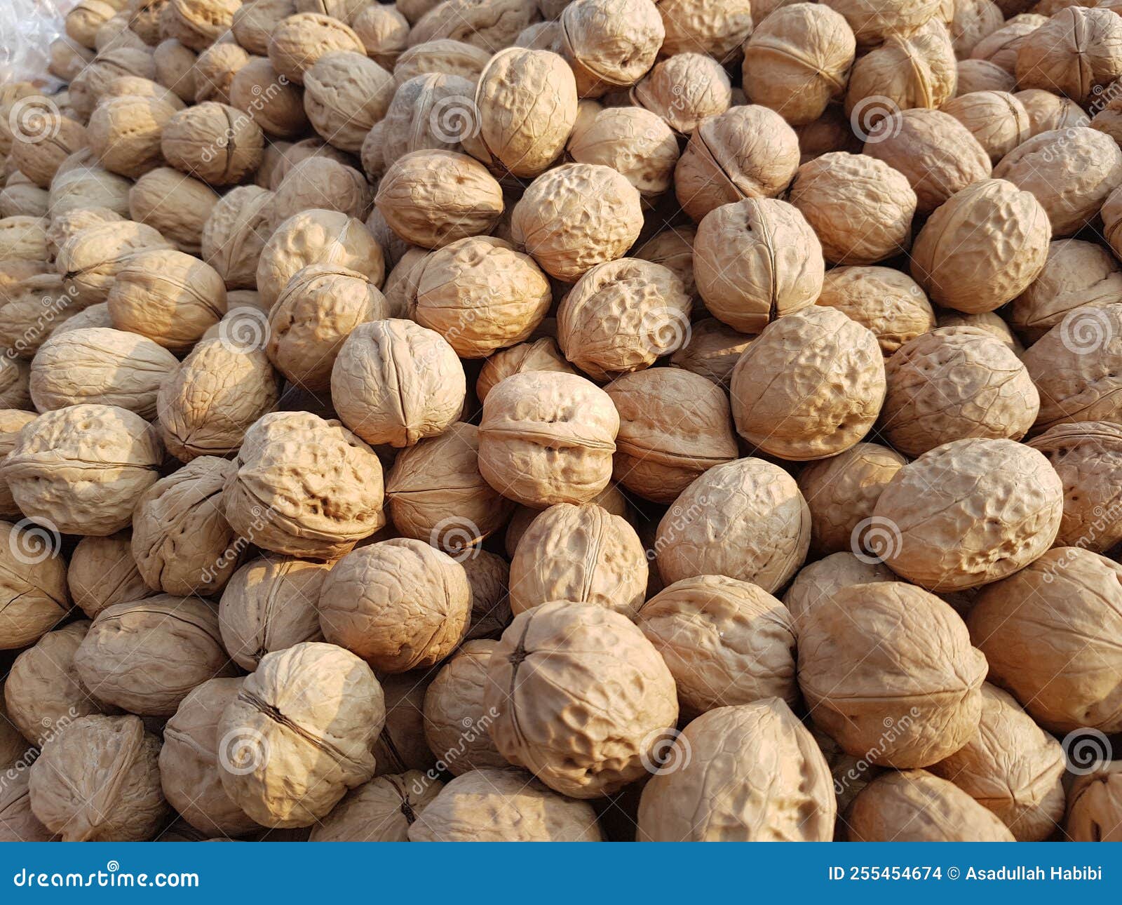 Nueces Famosas De La Fruta Seca Foto de archivo - Imagen de fruta, roca ...