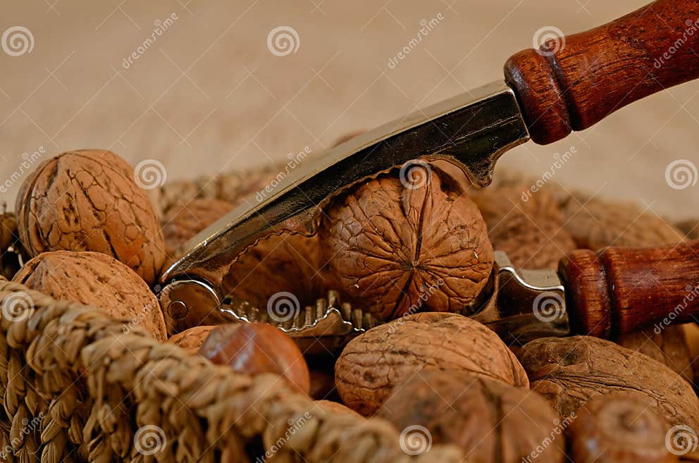 Nueces que se quiebran foto de archivo. Imagen de salud - 36976592