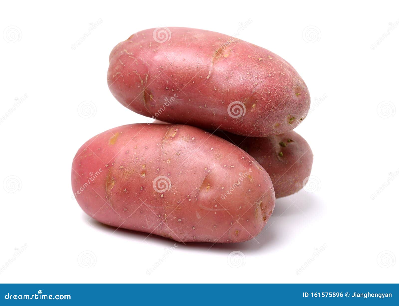 Nueva papa roja foto de archivo. Imagen de comer, carbohidrato - 161575896