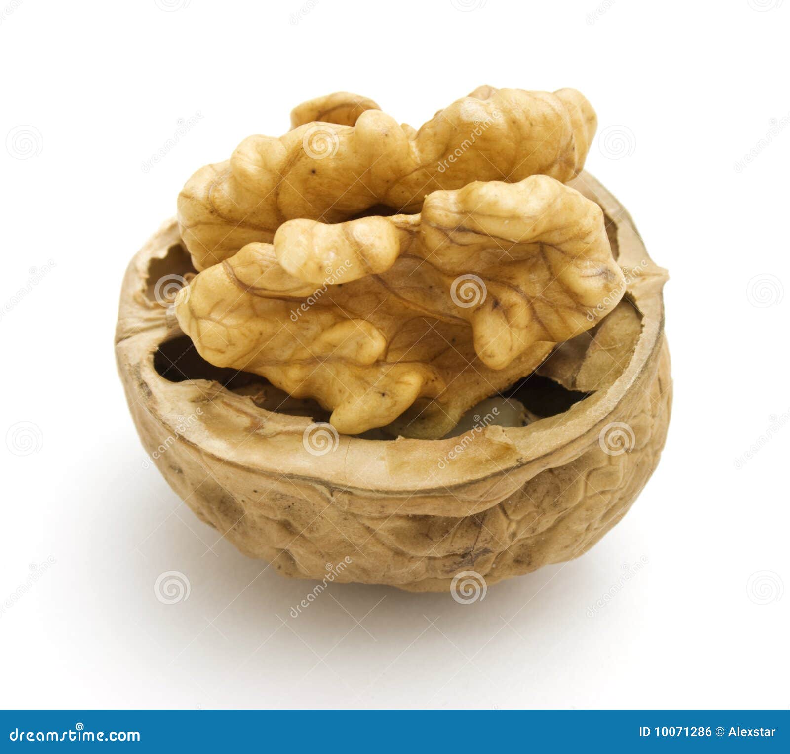 Nuez foto de archivo. Imagen de ingrediente, duro, alimento - 10071286