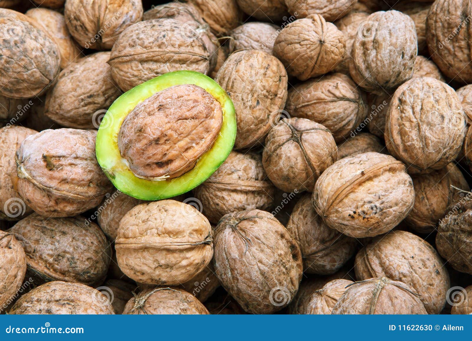 Nuez foto de archivo. Imagen de ingrediente, primer, fruta - 11622630