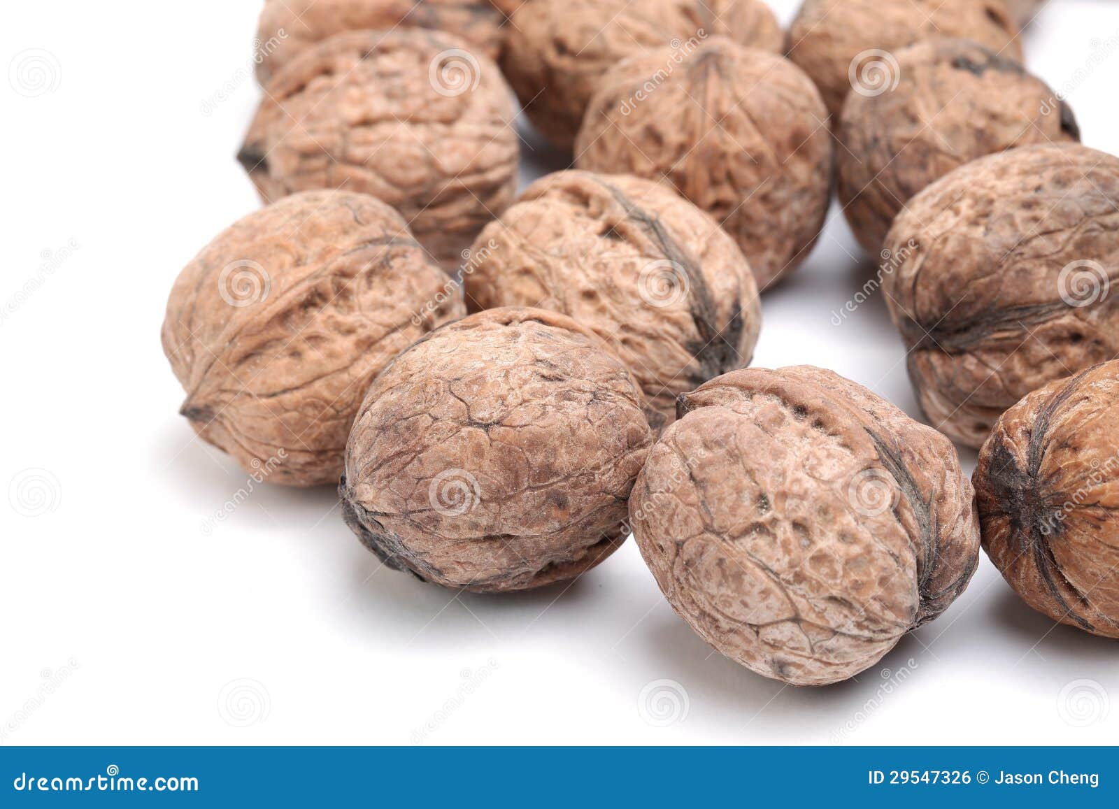 Nuez foto de archivo. Imagen de nuez, bosque, tuercas - 29547326