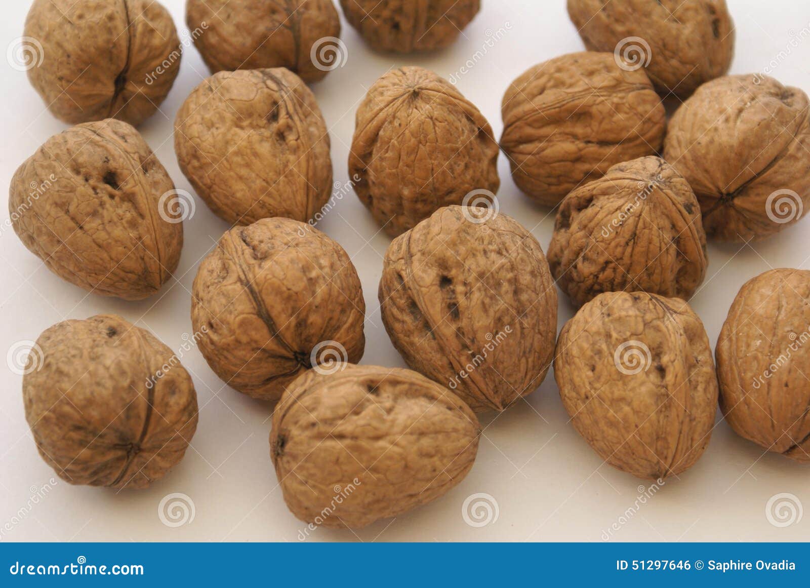 Nuez foto de archivo. Imagen de alimento, departamento - 51297646