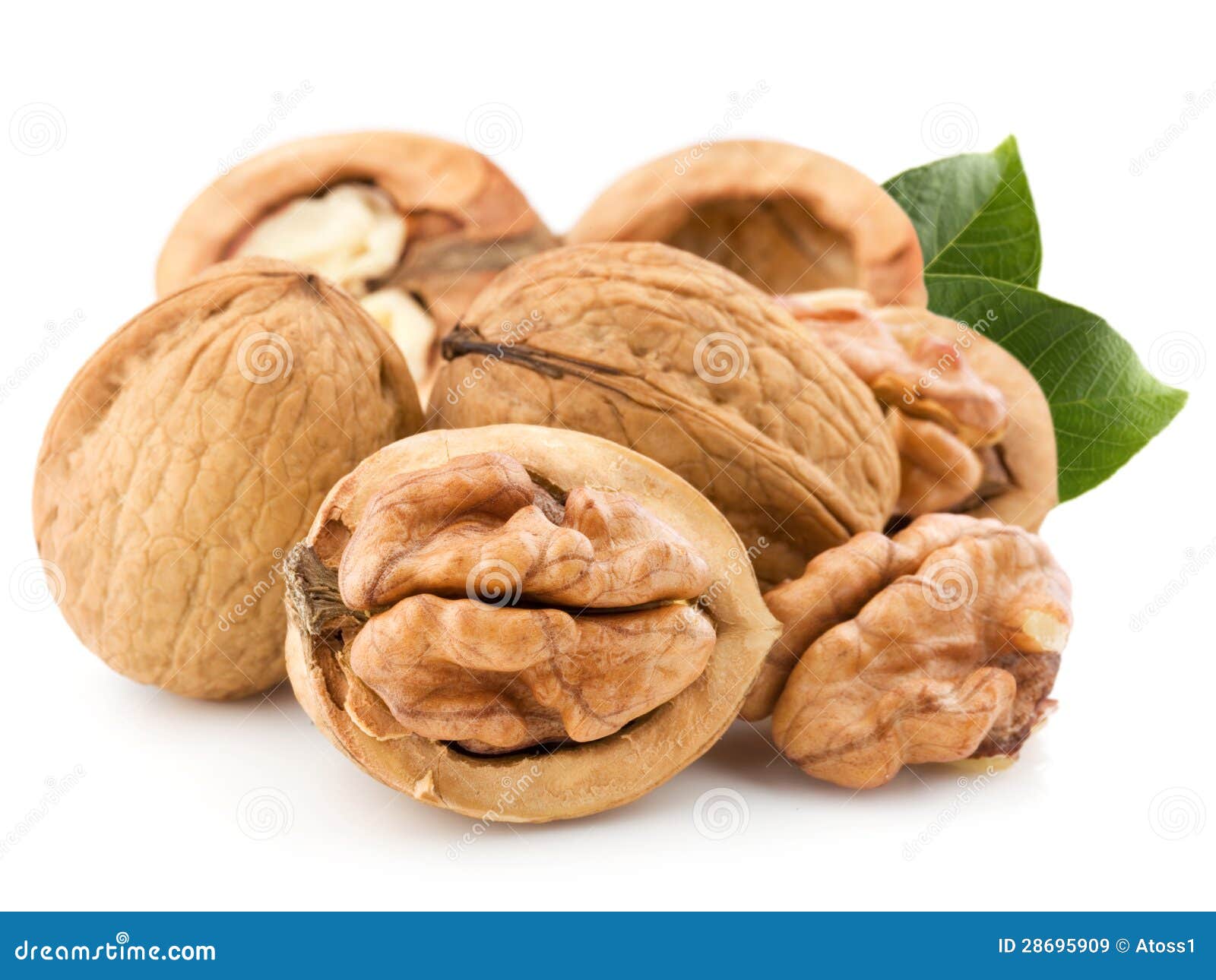 Nuez aislada imagen de archivo. Imagen de objeto, travieso - 28695909