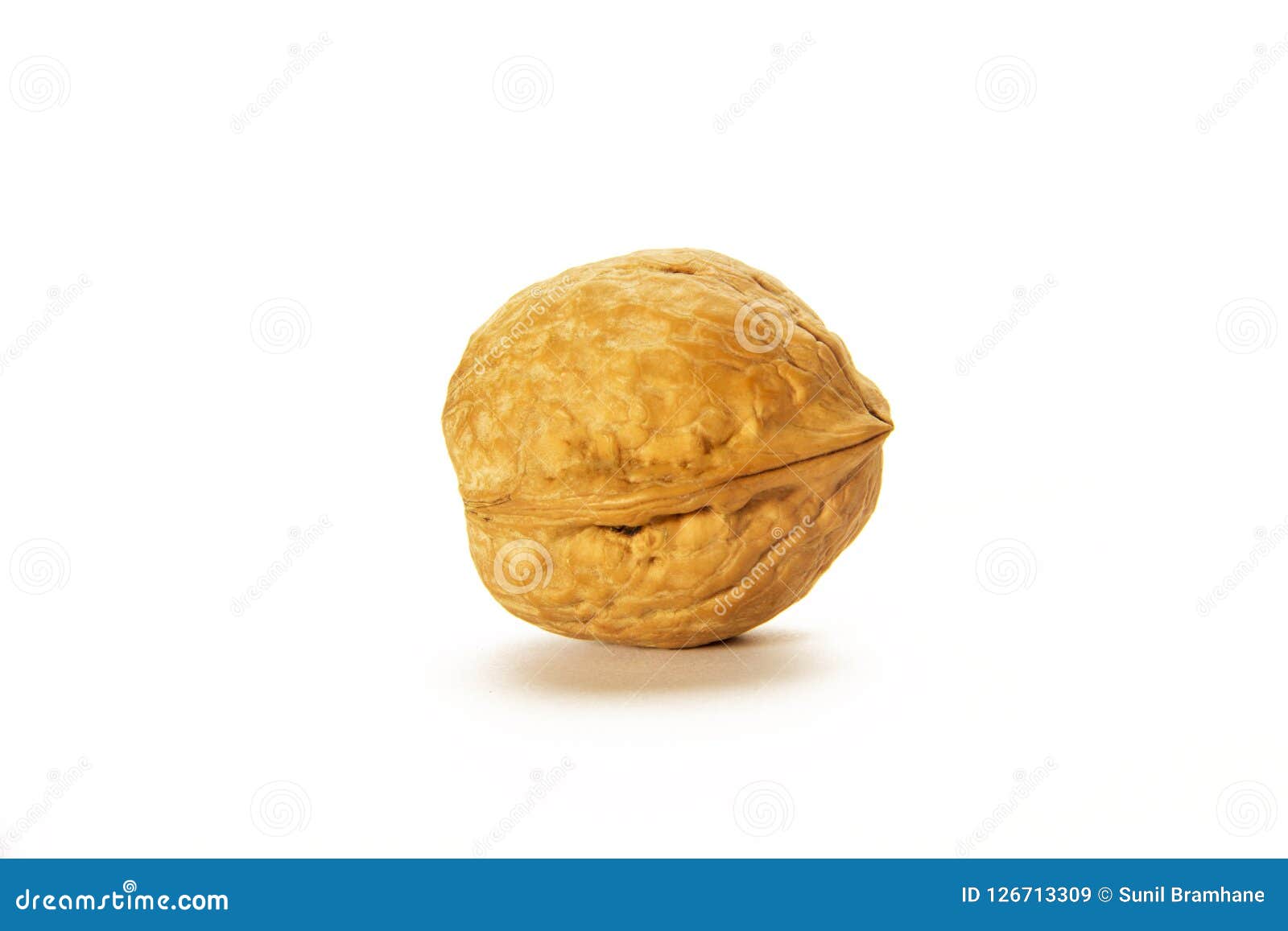 Nuez Aislada En El Fondo Blanco Imagen de archivo - Imagen de abierto ...