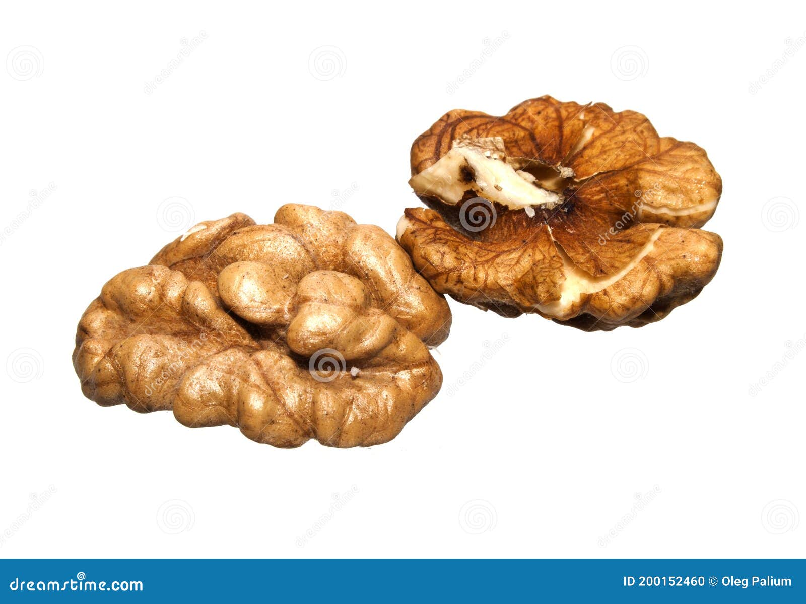 Nuez Aislada En Fondo Blanco Foto de archivo - Imagen de vector ...