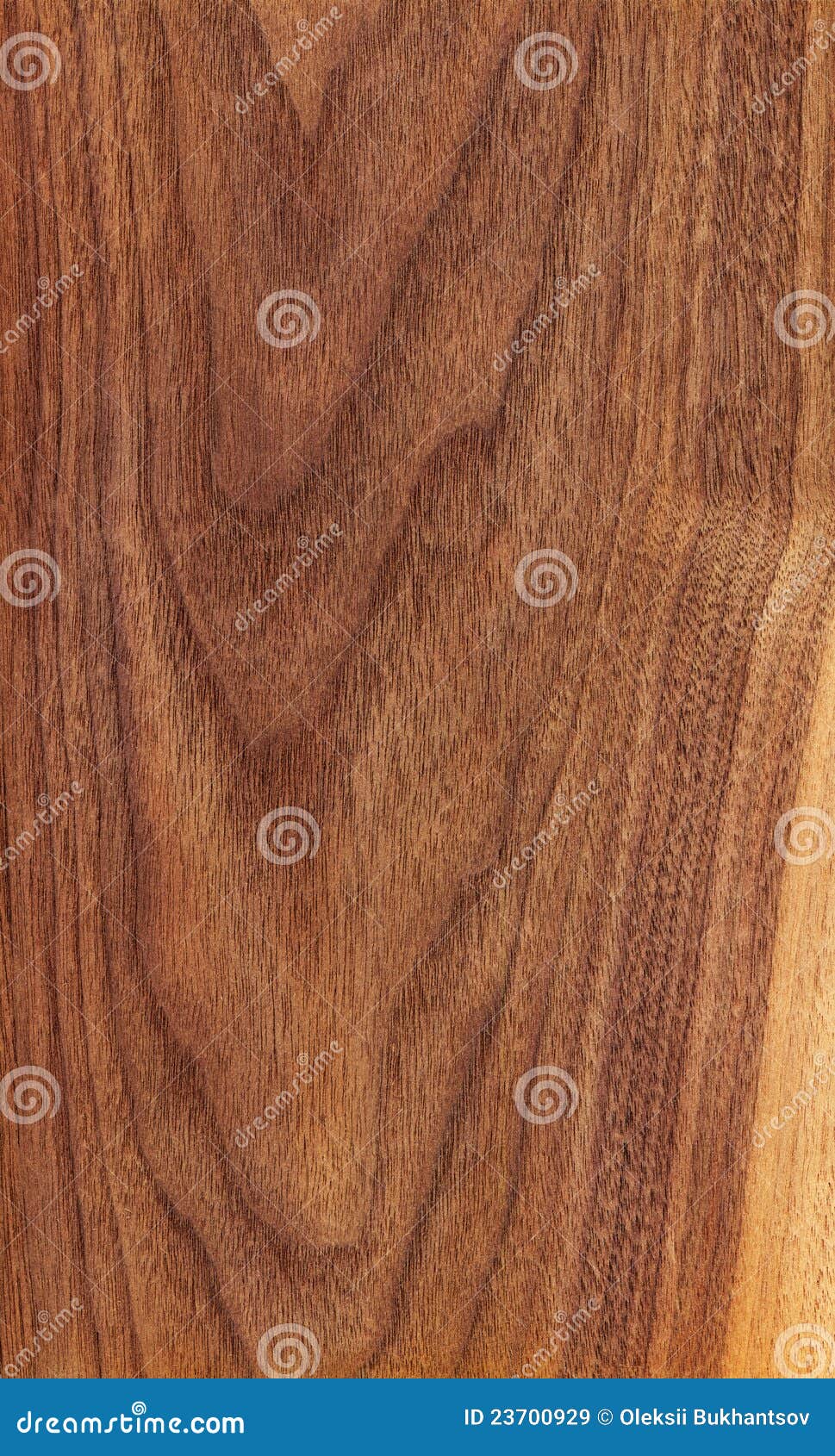 Nuez Americana (textura De Madera) Imagen de archivo - Imagen de macro ...