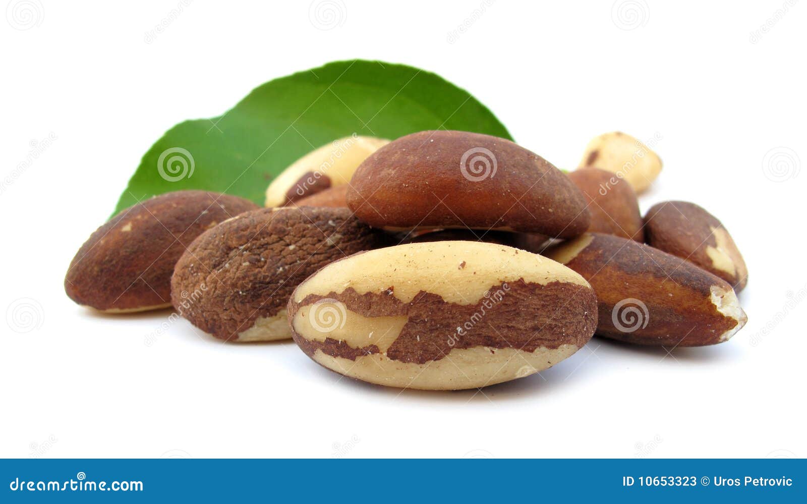Nuez de Brasil imagen de archivo. Imagen de puntas, hojas - 10653323