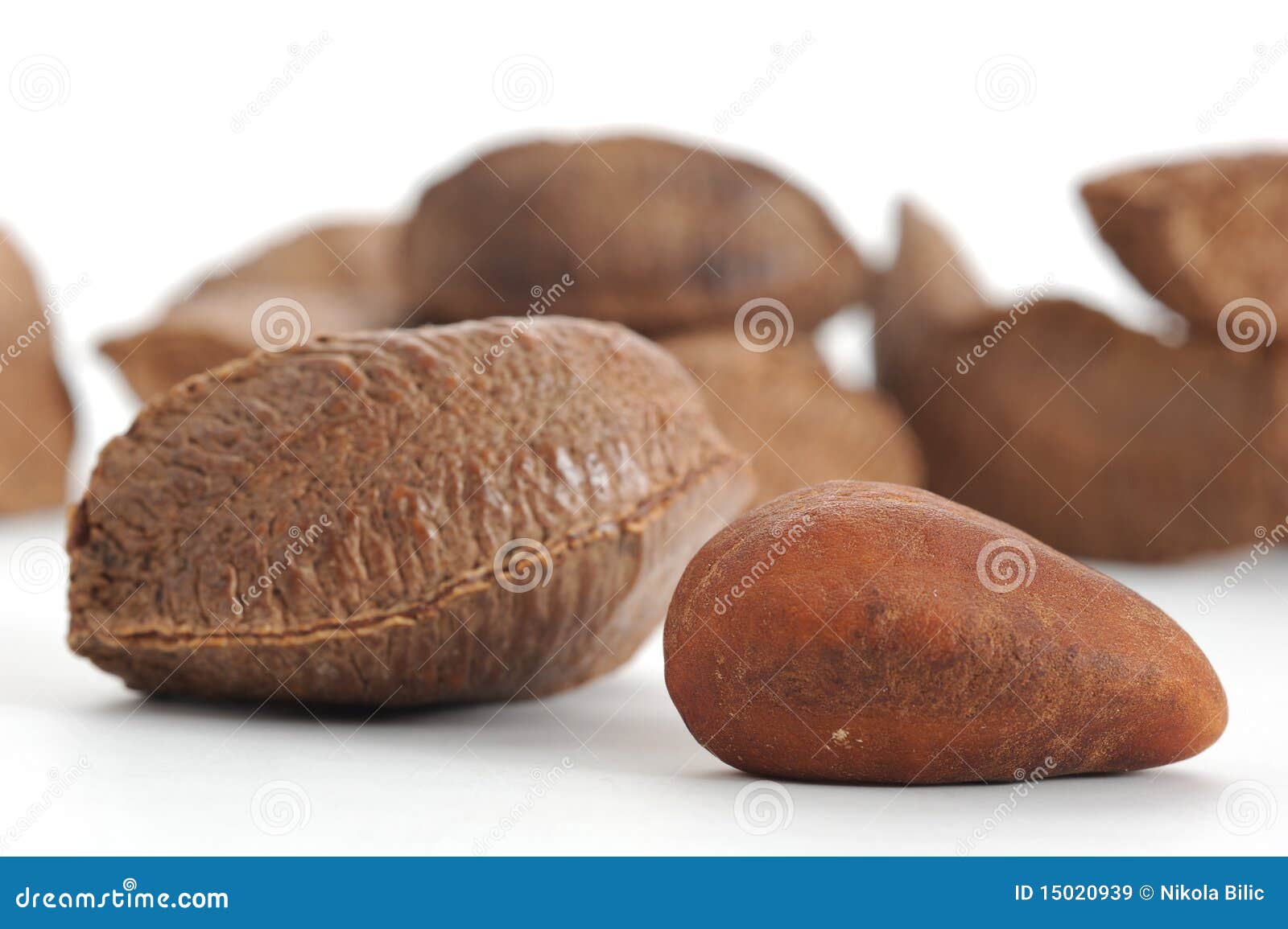 Nuez de Brasil imagen de archivo. Imagen de aislado, brasil - 15020939