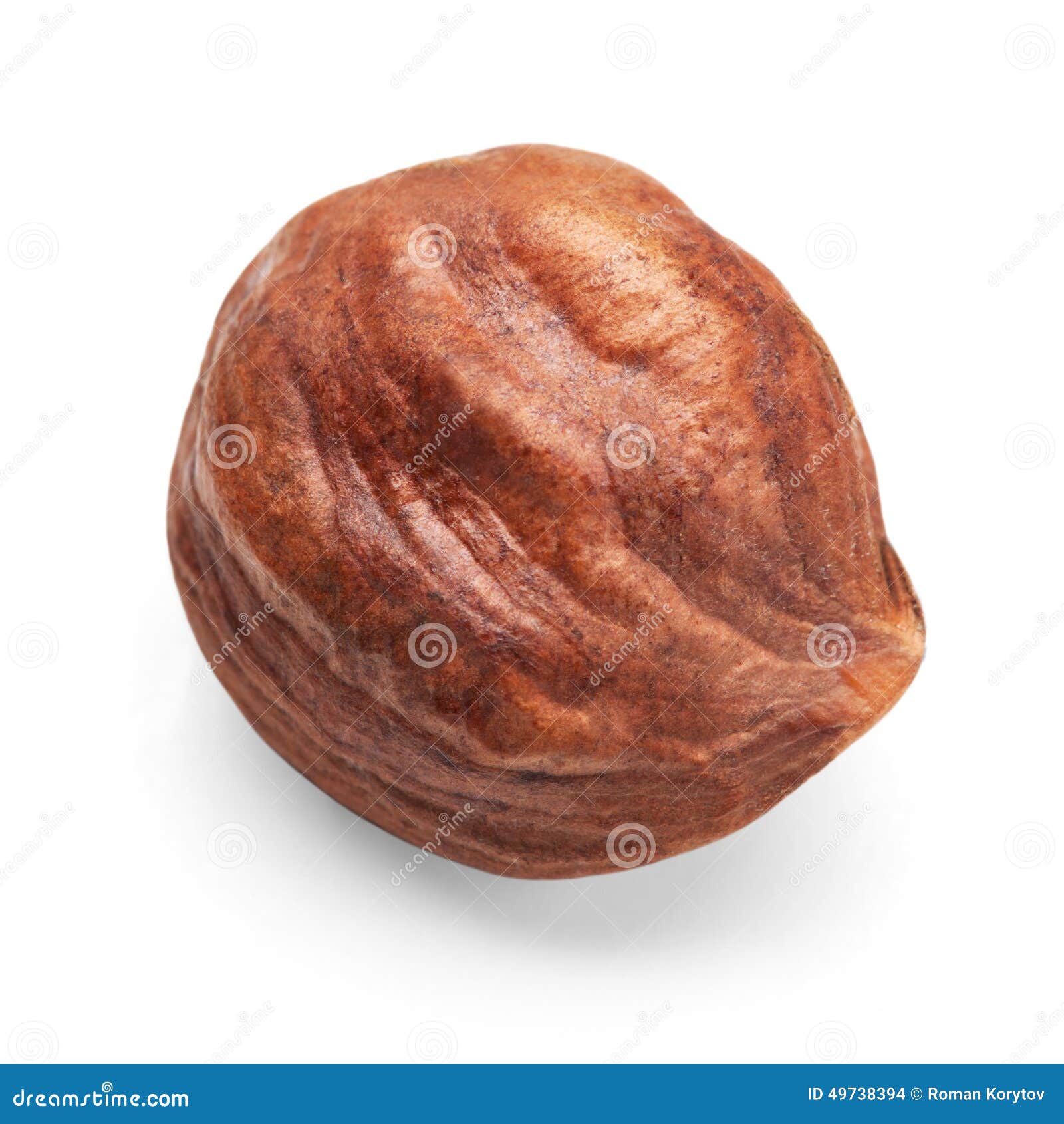 Nuez De La Semilla En Un Fondo Blanco Foto de archivo - Imagen de ...