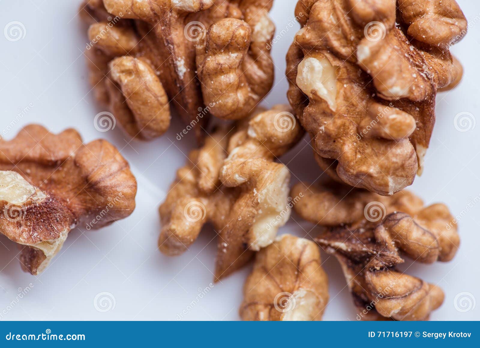 Nuez Del Primer En Un Fondo Blanco Imagen de archivo - Imagen de ...