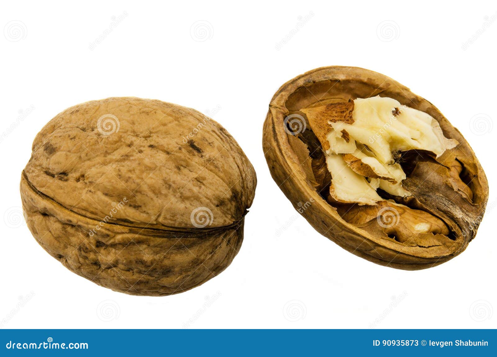 Nuez En El Fondo Blanco, Aislado Imagen de archivo - Imagen de fresco ...