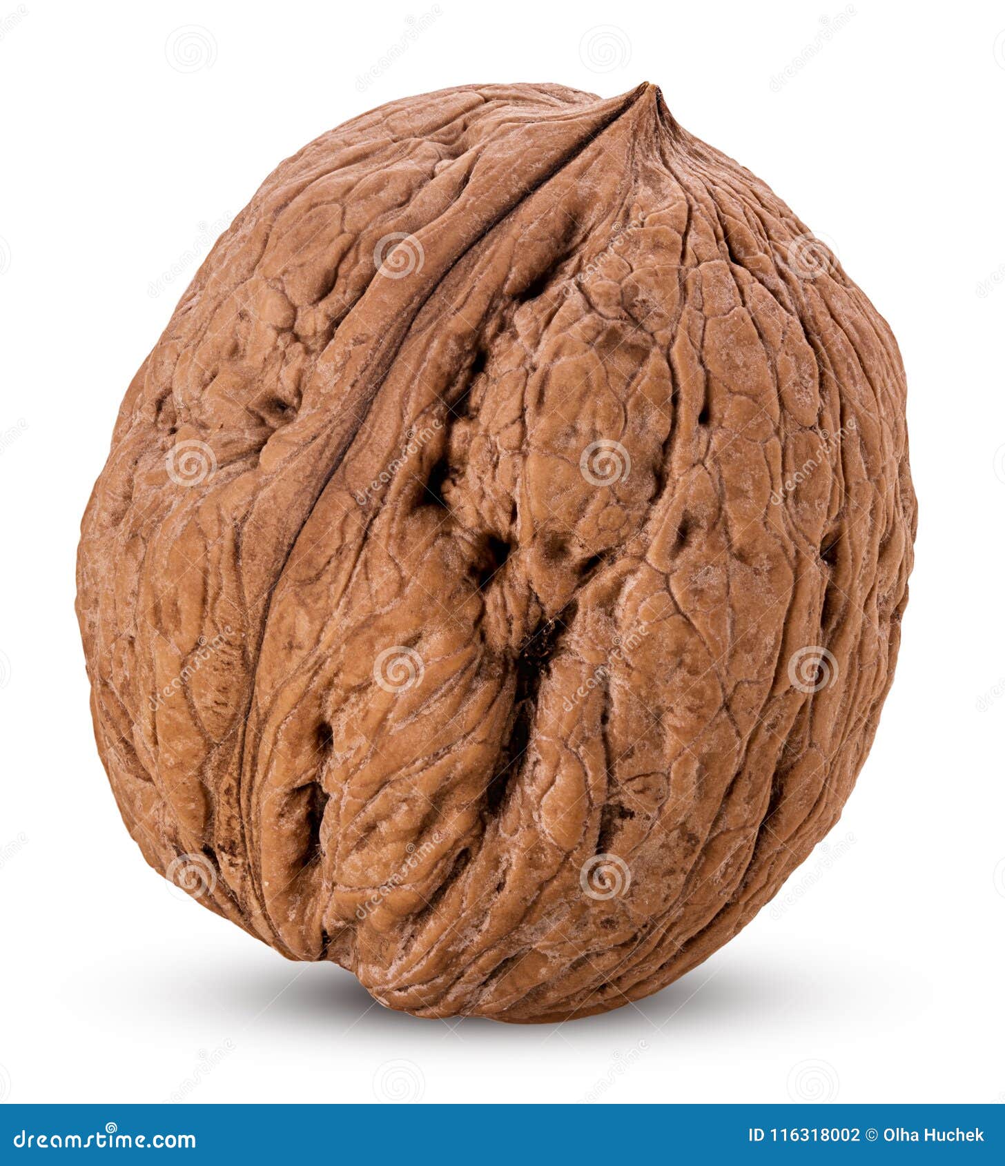Nuez entera foto de archivo. Imagen de macro, truncamiento - 116318002