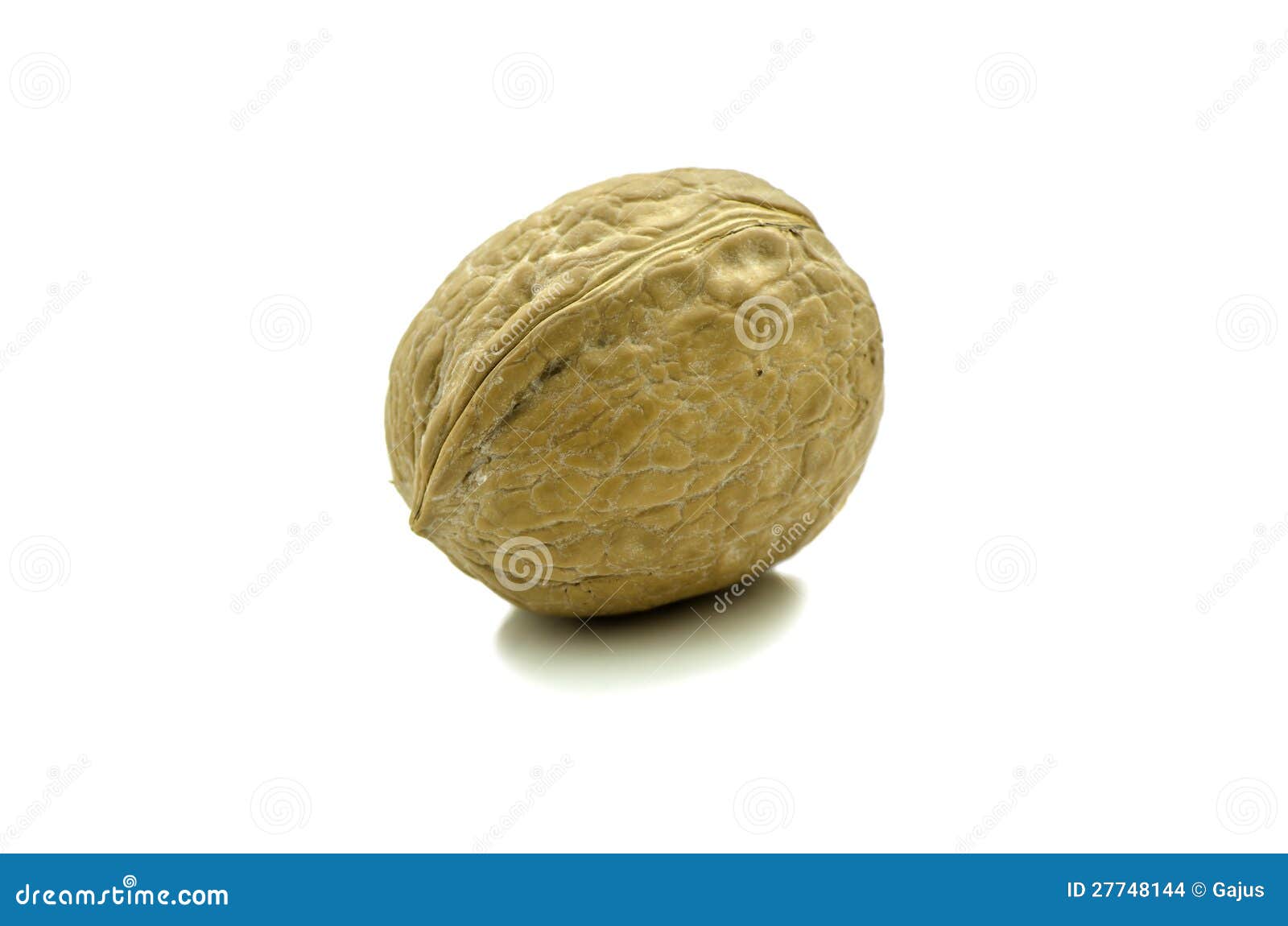 Nuez entera foto de archivo. Imagen de blanco, tuerca - 27748144